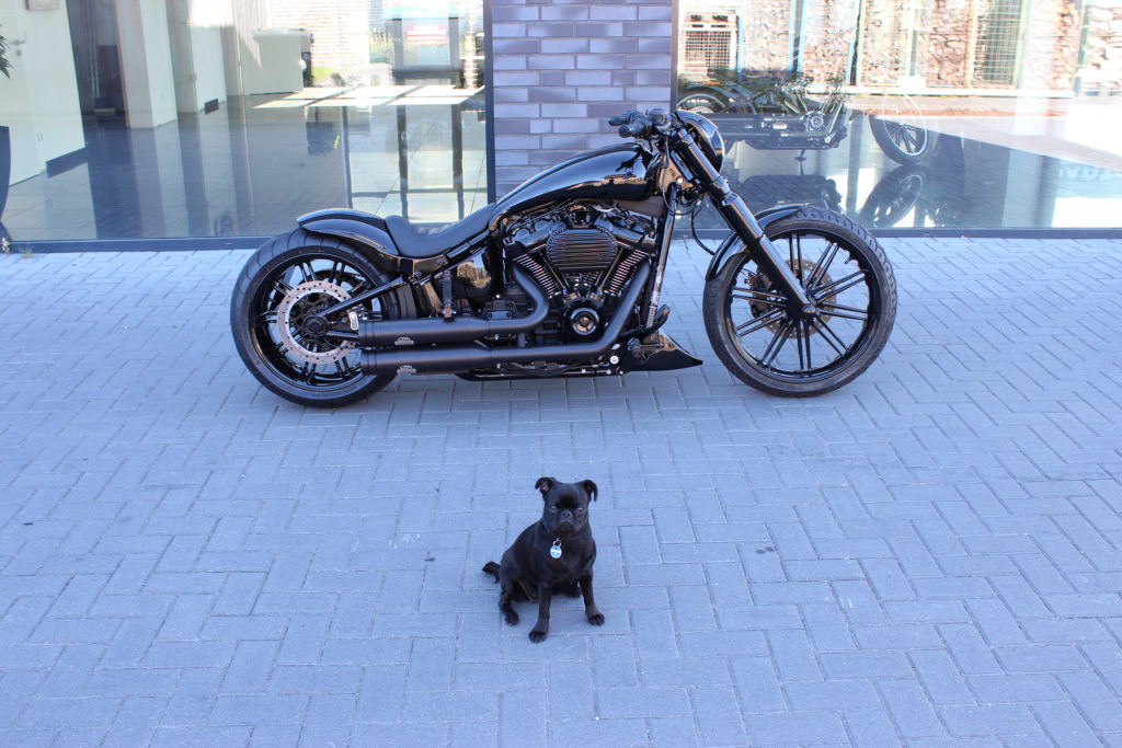 Custom/Streched-Tank, Softail Breakout 114" 2018 - 2022 - Dark Parts